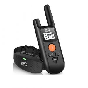 Best Dog Training Collars 2026 – A Complete Guide – Pet Guide Reviews