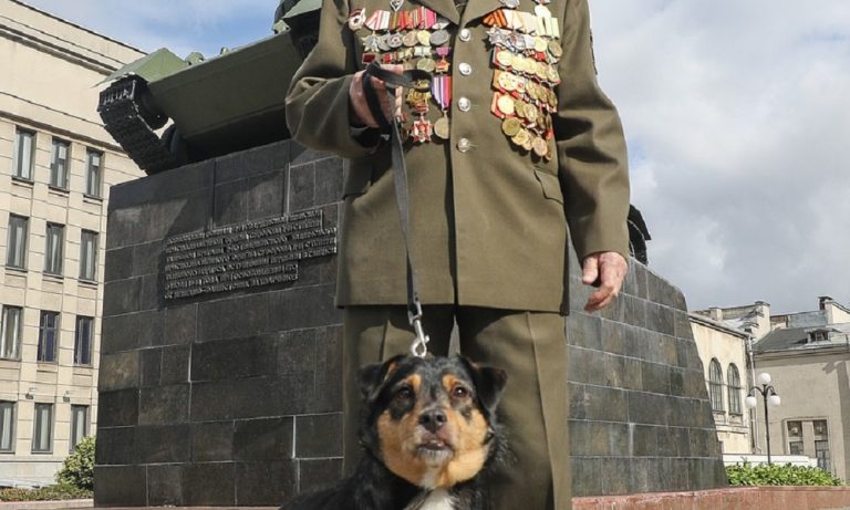 Military Dog Names for Fearless & Powerful Dogs – Pet Guide Reviews