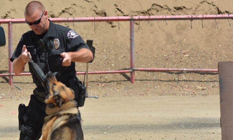 Police Dog Names For Your Pup – Pet Guide Reviews