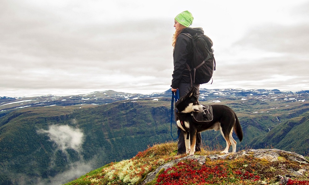 300 Winter Dog Names Inspired By Your Favorite Season 300 Winter Dog Names Inspired By Your Favorite Season