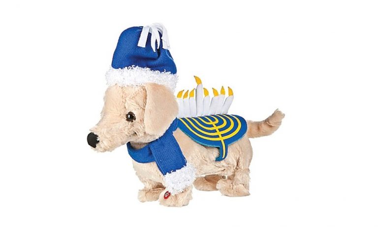 Winter Dog Names – Inspired by Your Favorite Season – Pet Guide Reviews