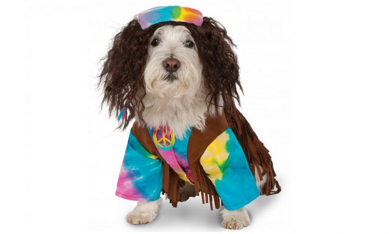 250+ Hippie Dog Names: Finding the Right One – Pet Guide Reviews