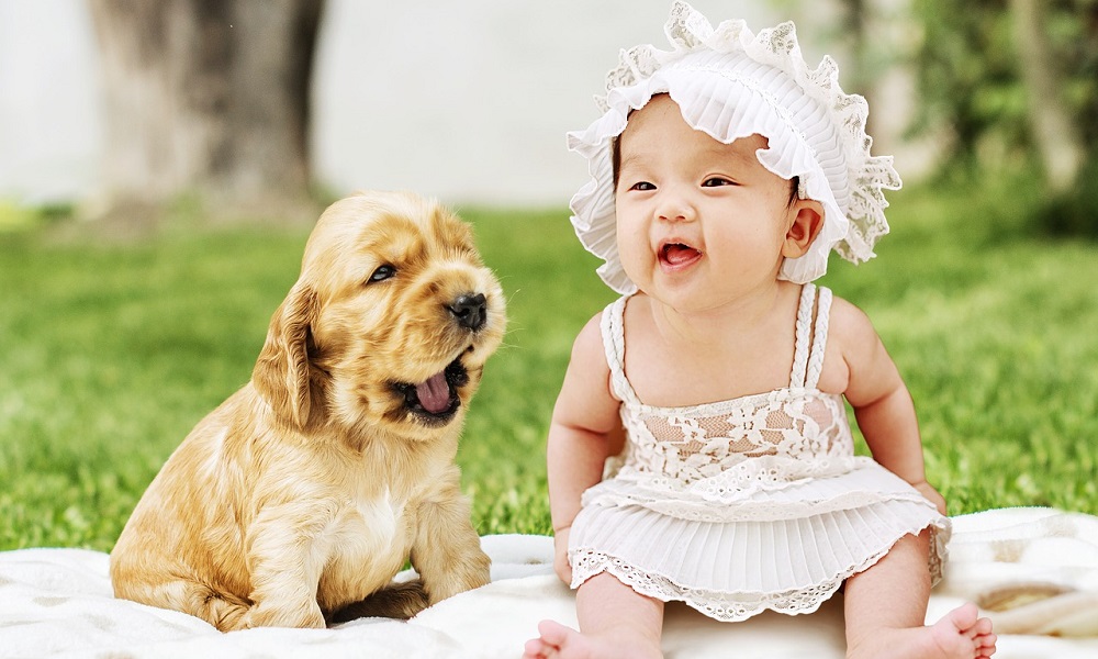 Funny Dog Names Finding The Right One Pet Guide Reviews