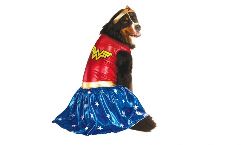 Superhero Dog Names [120+ Powerful Ideas!] – Pet Guide Reviews