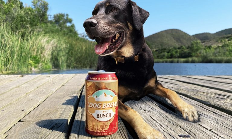 Alcohol Dog Names: 150+ Ideas You Would Love – Pet Guide Reviews