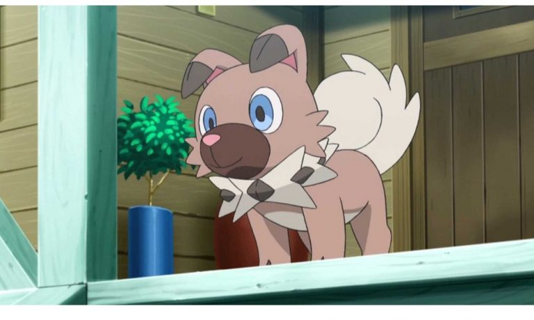 Pokemon Dog Names: 150+ Perfect Ideas Your Pup – Pet Guide Reviews