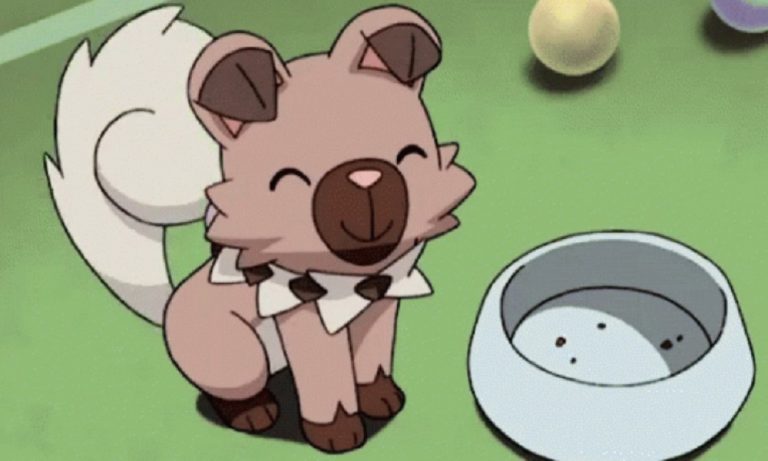 Pokemon Dog Names: 150+ Perfect Ideas Your Pup – Pet Guide Reviews