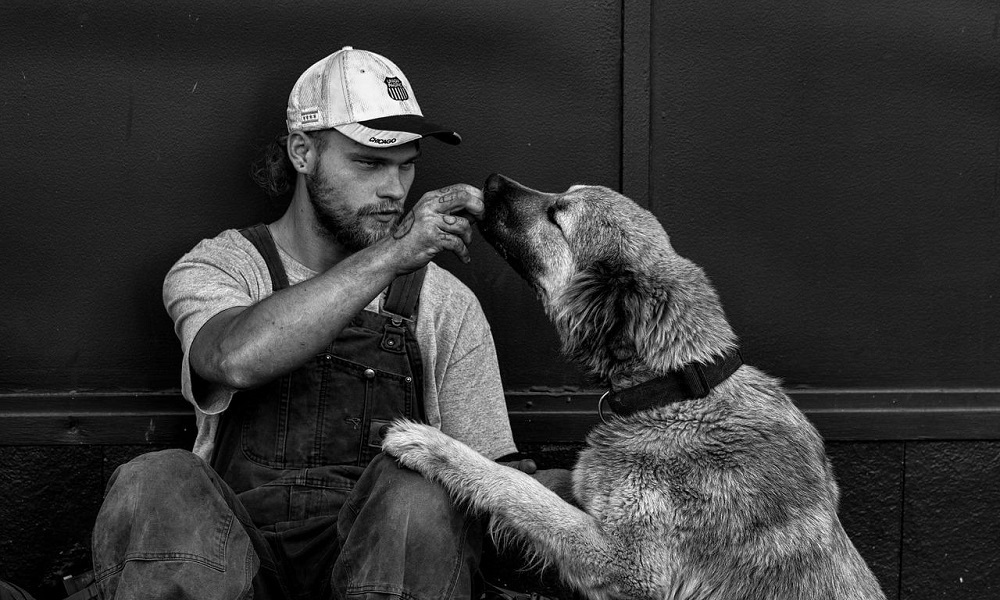 Grey Dog Name Ideas For Your Four Legged Friend Pet Guide Reviews Grey Dog Name Ideas For Your Four Legged Friend Pet Guide Reviews
