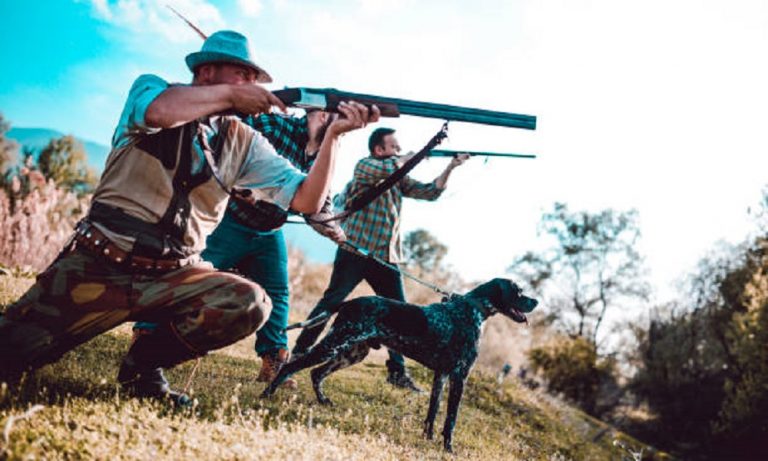 Gun Dog Names [150+ Updated Amazing List] – Pet Guide Reviews