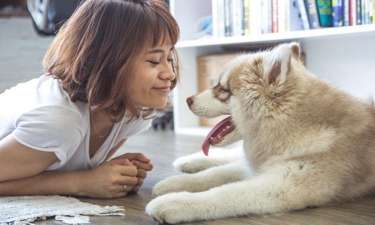 300+ Ultimate Collection of One-Syllable Dog Names – Pet Guide Reviews