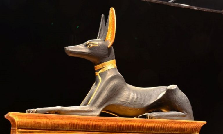 200+ Mythology Dog Names With Roman, Greek, African – Pet Guide Reviews